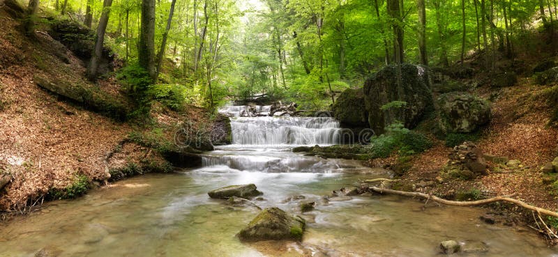 Creek in the forest stock image. Image of fresh, motion - 41055655