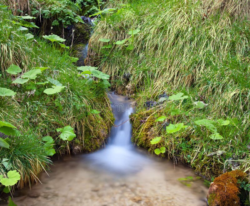Creek in forest stock image. Image of spring, landscape - 91952037