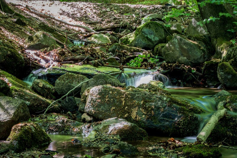 Creek in the Forest and Stones Covered with Moss 2 Stock Image - Image ...
