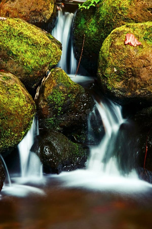 126 Photographed Big Island Hawaii Stock Photos - Free & Royalty-Free ...