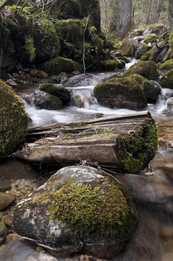 Creek with mossy rocks stock image. Image of green, stream - 19248773