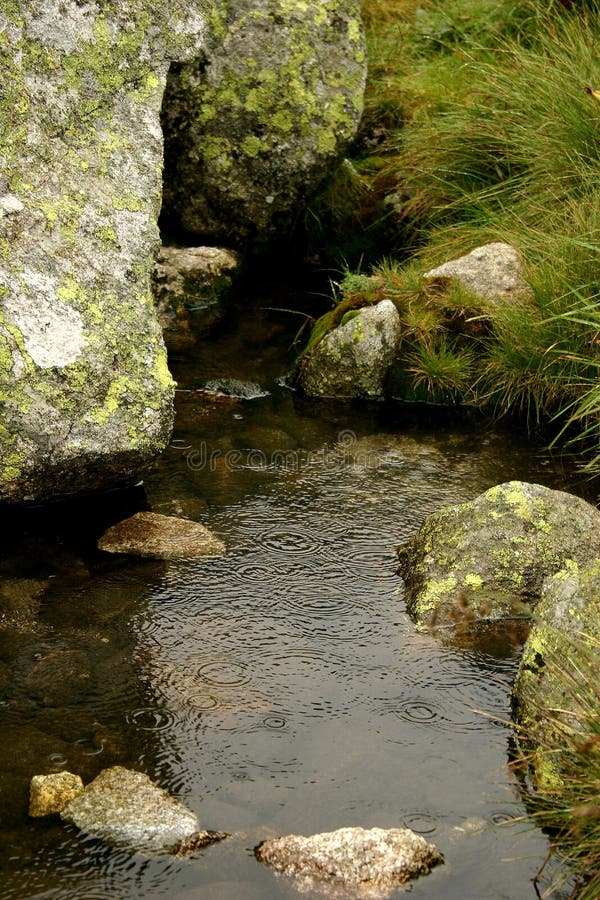 Creek stock image. Image of meadow, path, grass, landscape - 55099449