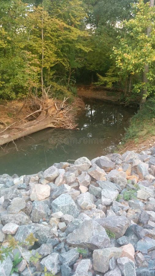 Creek stock photo. Image of outdoors, coming, nature - 60901586