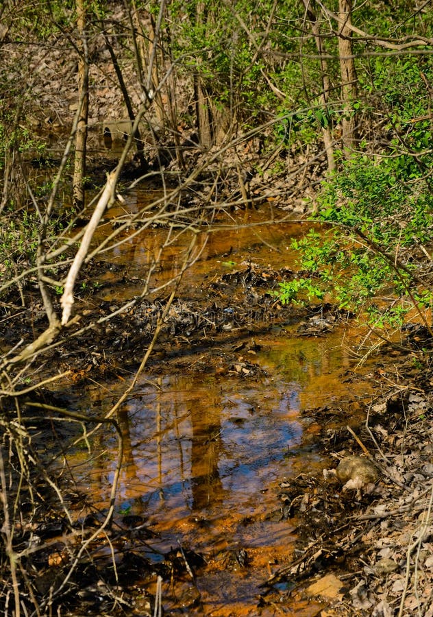 Creek Overflow in Early Spring Stock Image - Image of america, creek ...