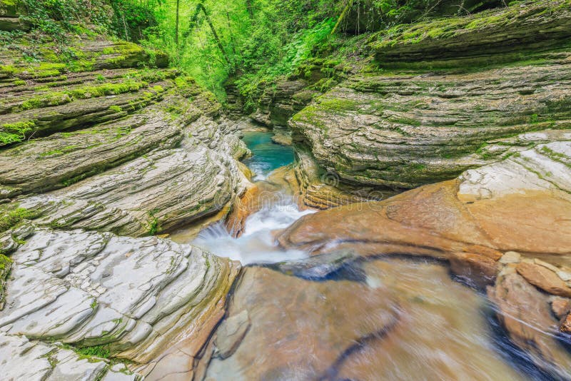Creek with Pure Water in the Deep Canyon Stock Photo - Image of stream ...