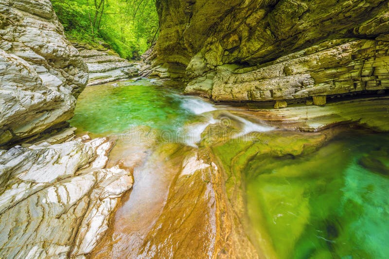 Creek with Pure Water in the Deep Canyon Stock Photo - Image of stream ...