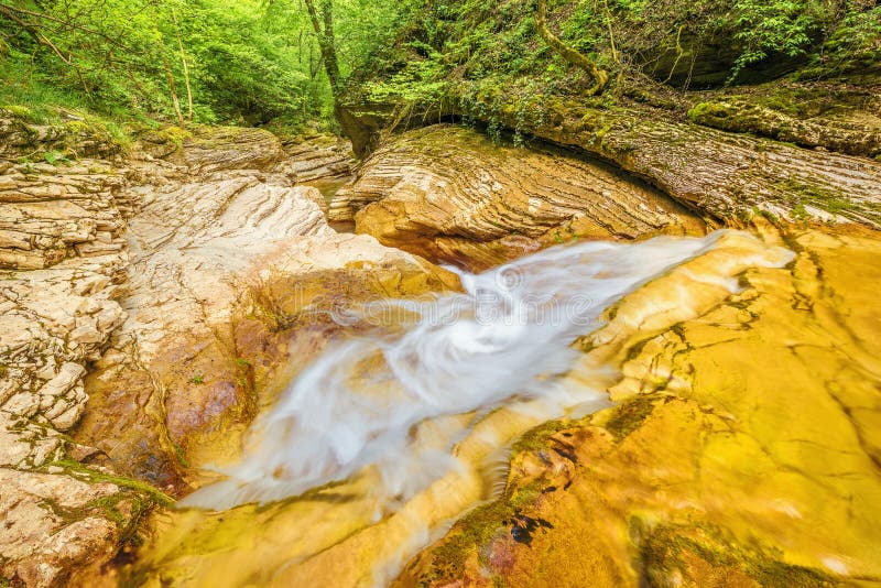 Creek with Pure Water in the Deep Canyon Stock Photo - Image of stream ...