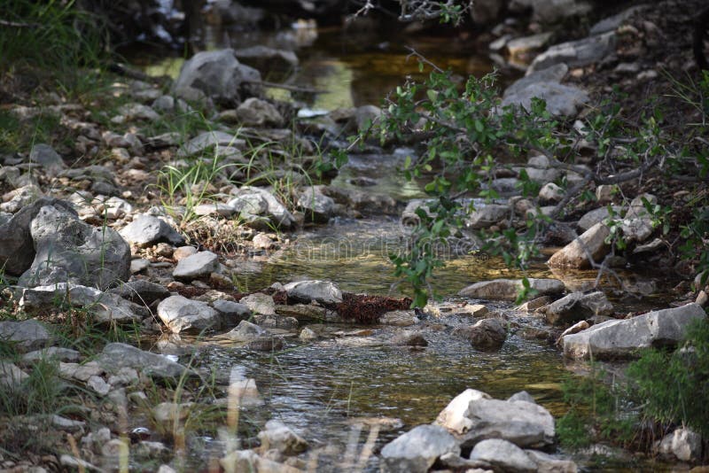 Creek with Rocks stock photo. Image of natural, stone - 100269322
