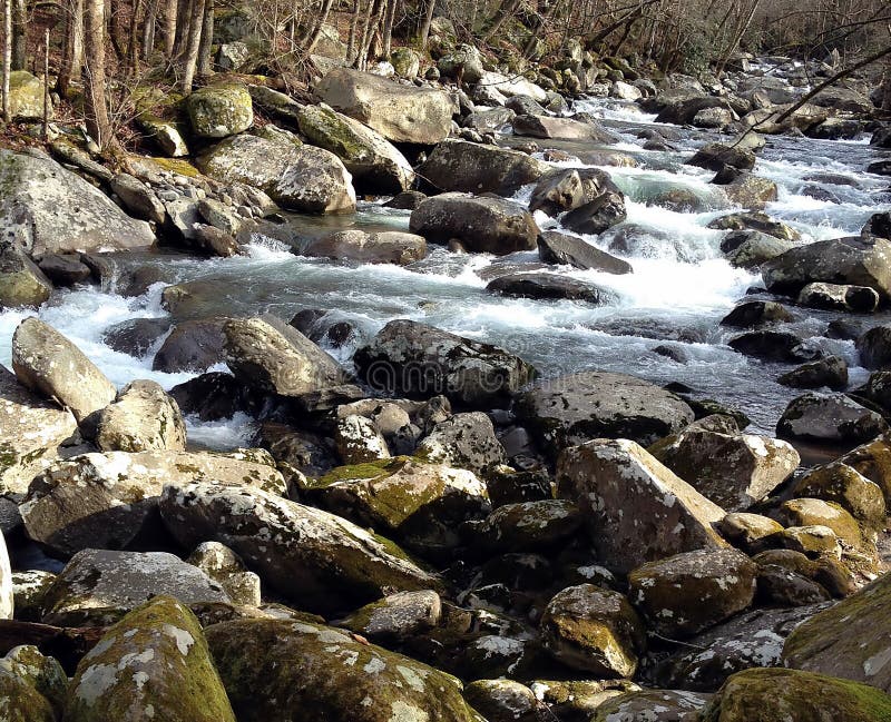 Creek with Rocks stock image. Image of rocks, covered - 69592153