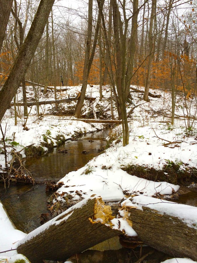 Creek Running through the Winter Forest Stock Photo - Image of ...