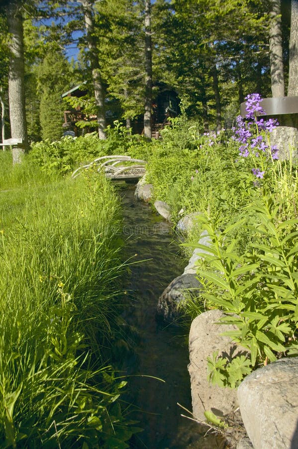 Creek Runs through Spring Foliage at Taft Ranch, Centennial Valley Near ...