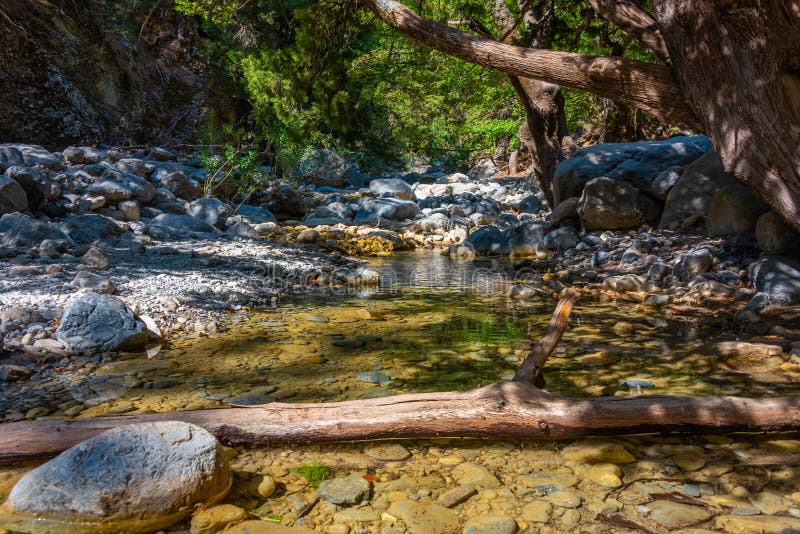 Creek at Samaria Gorge at Greek Island Crete Stock Image - Image of ...