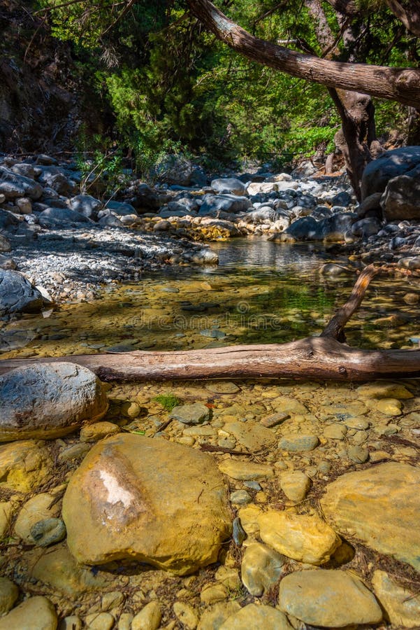 Creek at Samaria Gorge at Greek Island Crete Stock Image - Image of ...