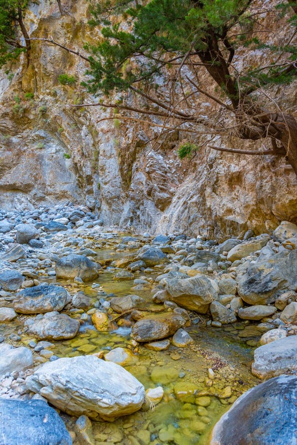 Creek at Samaria Gorge at Greek Island Crete Stock Image - Image of ...