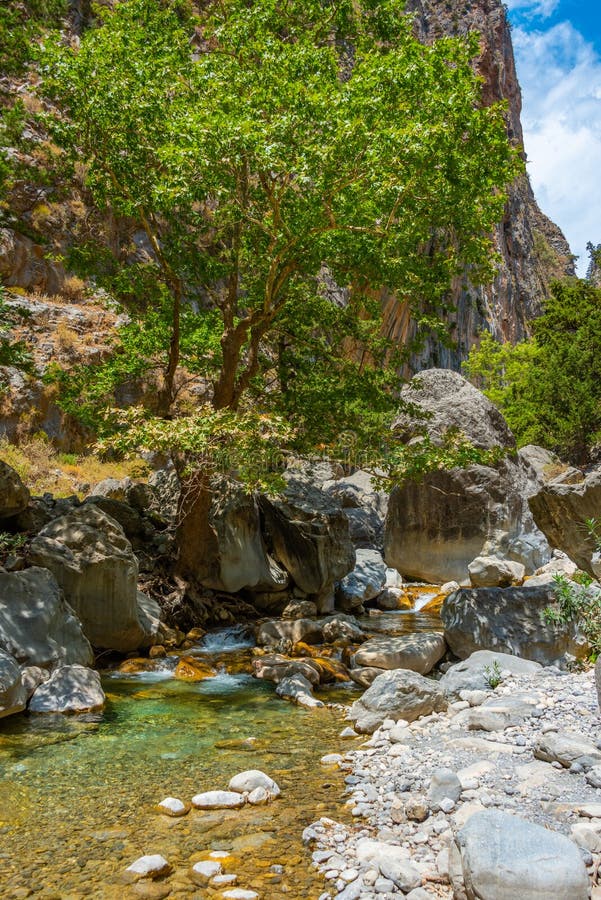 Creek at Samaria Gorge at Greek Island Crete Stock Image - Image of ...