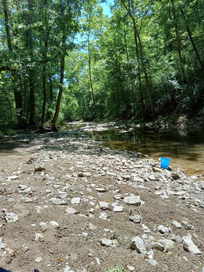 Creek Side Image stock image. Image of grass, mage, rock - 252384095