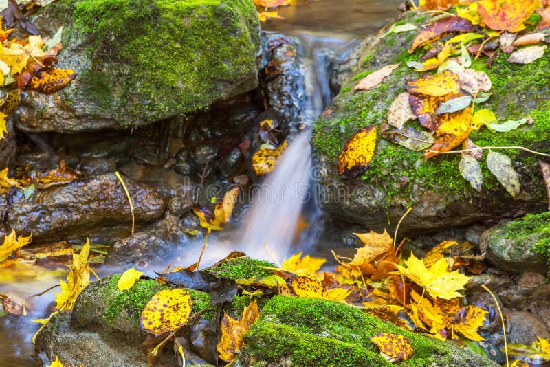 Creek with a Small Waterfall and Autumn Leaves Stock Photo - Image of ...