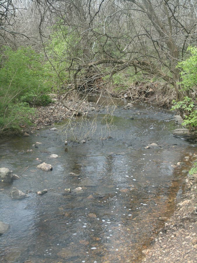Creek stock photo. Image of trees, wilderness, woods - 80760504