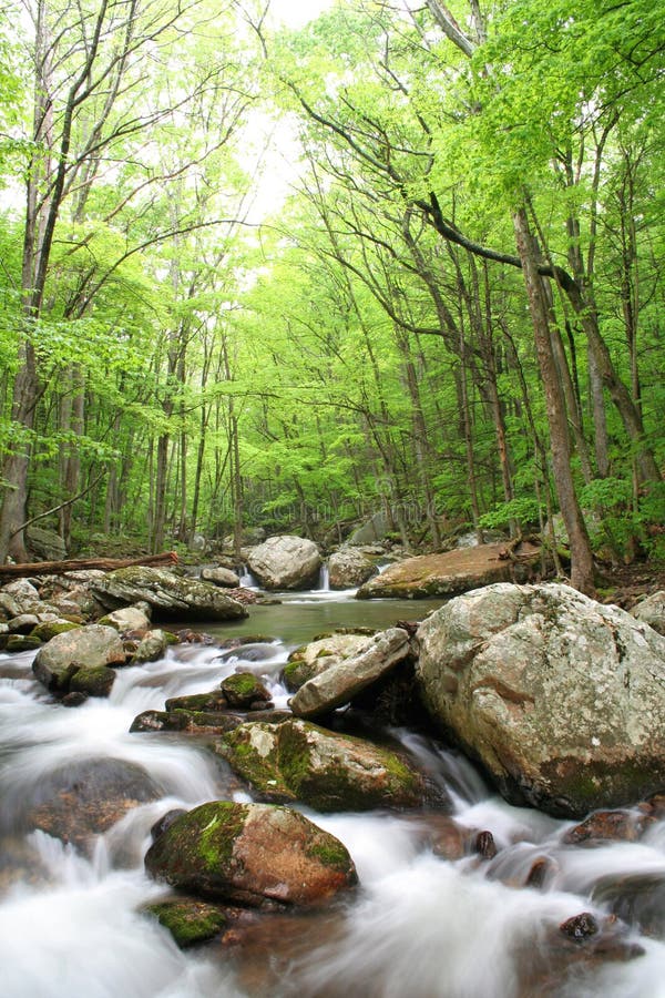 The Creek stock image. Image of water, creek, nature, colorful - 3591197