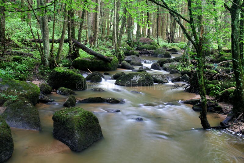 Creek in spring stock photo. Image of water, rock, bavaria - 4833558