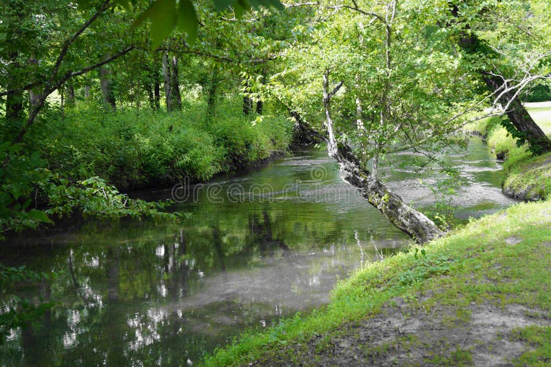 Creek stock photo. Image of water, county, cherokee, alabama - 57507812