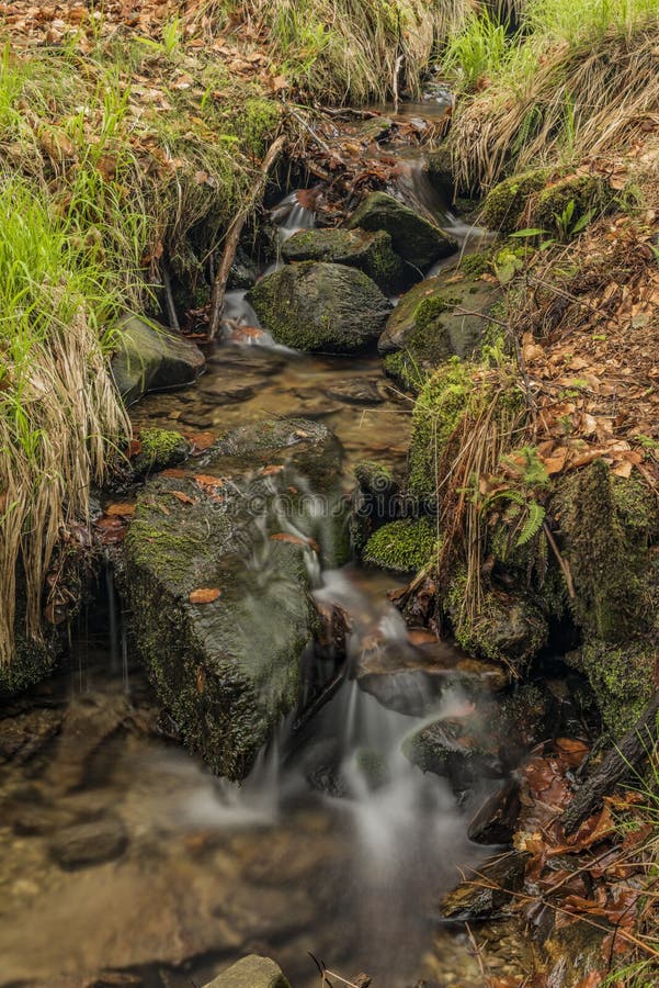Creek in Spring Color Forest in North Bohemia Stock Image - Image of ...