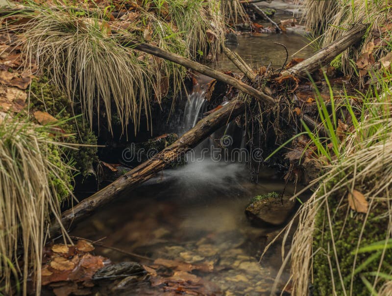 Creek in Spring Color Forest in North Bohemia Stock Photo - Image of ...
