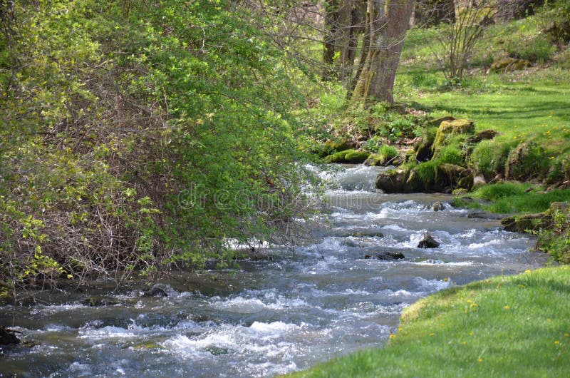 Creek in spring`s park stock photo. Image of bush, cute - 142739950