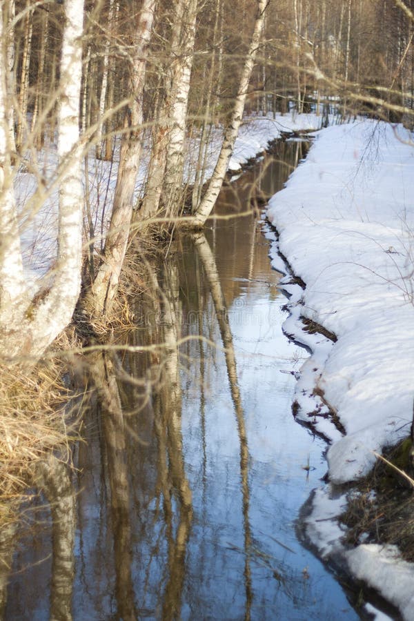 Creek stock photo. Image of birch, blue, spring, snow - 42710560