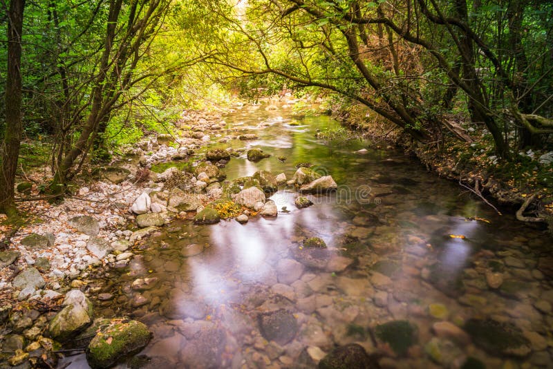 Creek with Springwater in the Forest Stock Image - Image of flowing ...