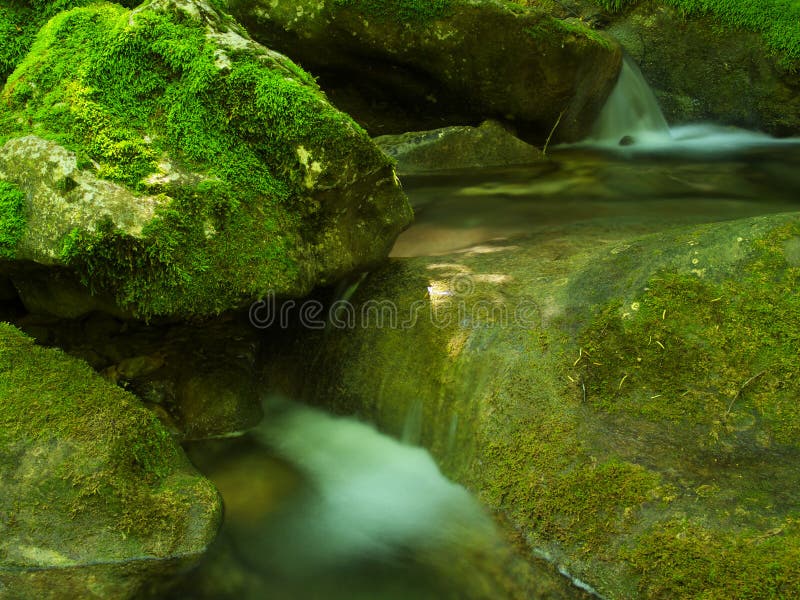 Creek and stones stock image. Image of idyllic, fresh - 24881851