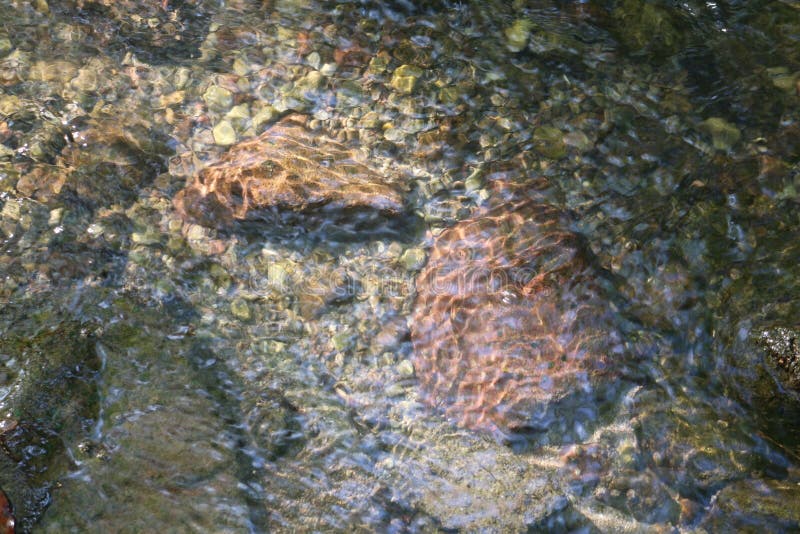 Creek and Stones Baths in the Sunlight, Water Surface Ripple Stock ...