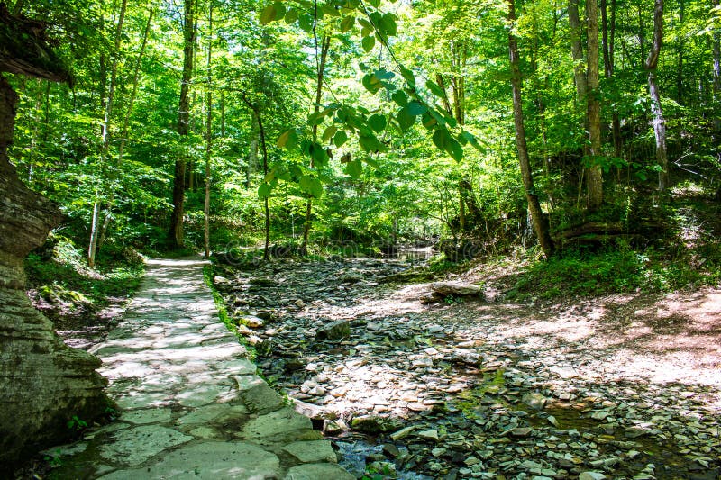 Wide Rocky Creek with Path stock image. Image of outdoors - 119983031