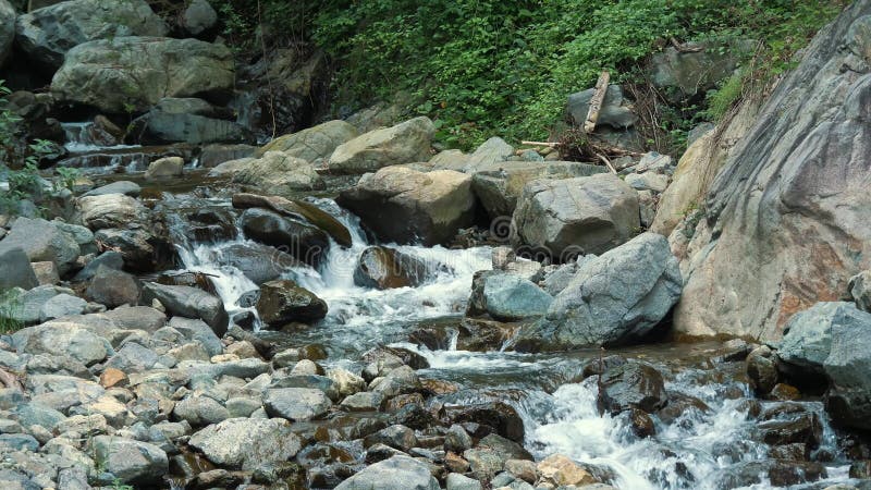Creek, Stream or Small and Quick Mountain River with Crystal Clear ...