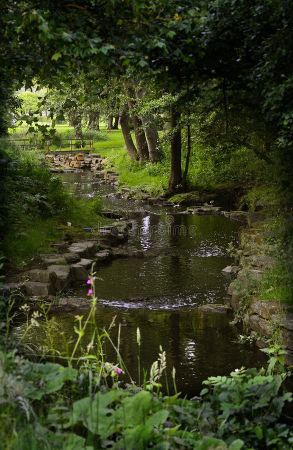 Creek stream stock photo. Image of river, creek, trees - 44759446