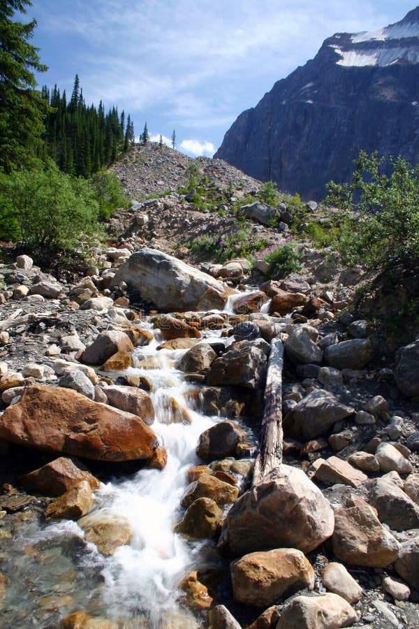 Creek view in Banff stock photo. Image of view, banff - 14073474