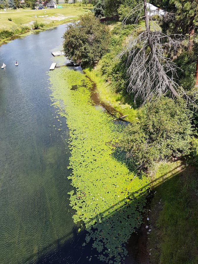 Creek view from Bridge stock photo. Image of bridge - 153011662