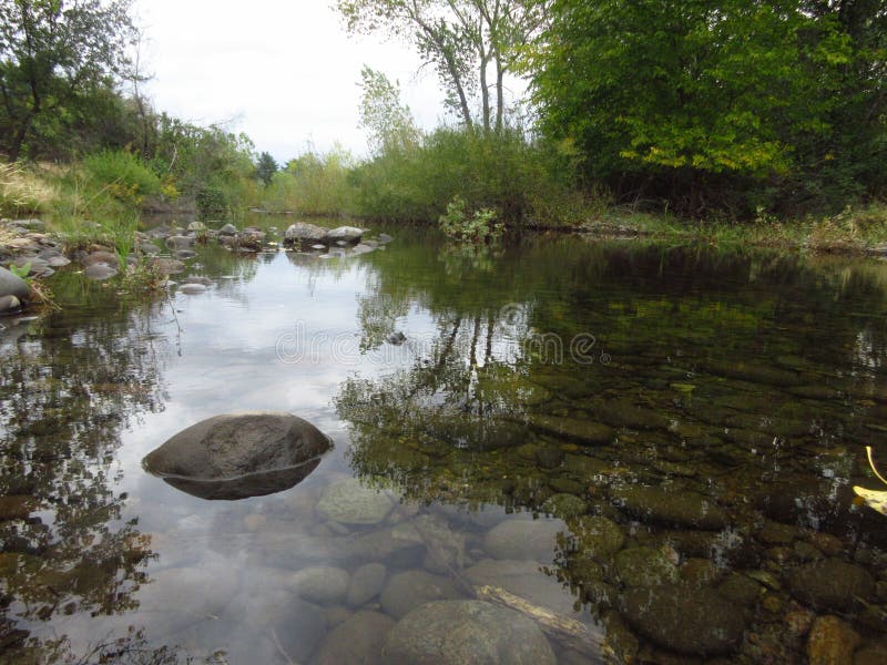 Creek stock photo. Image of rocks, creek, landscape, submerged - 79481318