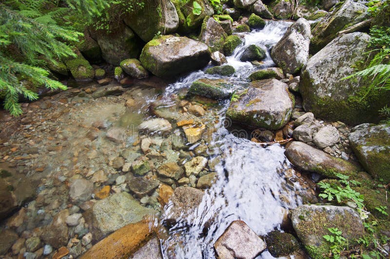 Creek water with rocks stock photo. Image of water, motion - 72858514