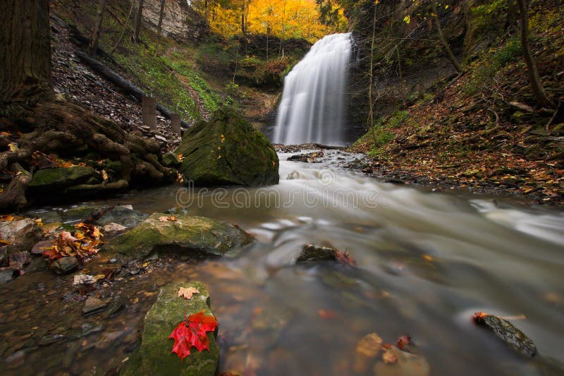 Creek with waterfall stock image. Image of leaves, black - 1403227