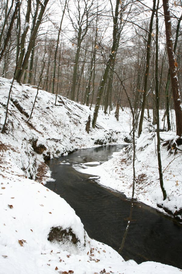 Creek in a winter forest stock image. Image of snow, creek - 12589087