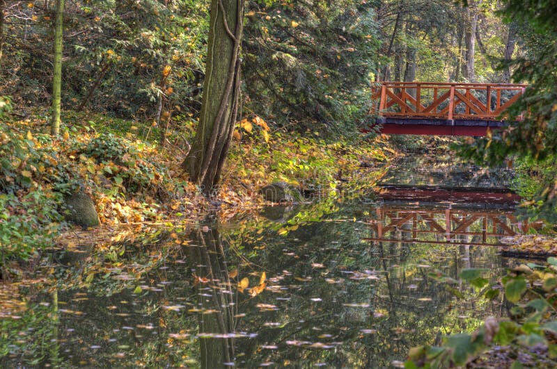 Creek and Wooden Bridge in Autumn Forest Stock Image - Image of angle ...