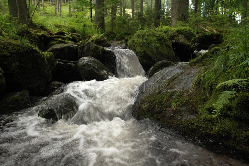 Creek in the Woods. Small Wild River. Stock Photo - Image of falling ...