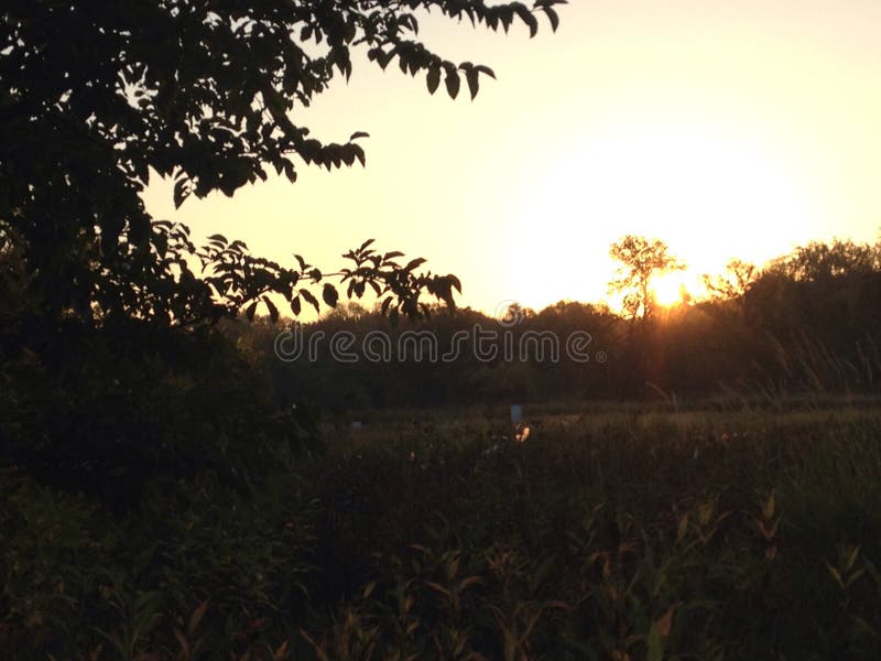 Creep up on sunrise stock image. Image of early, creepin - 44955147