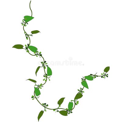 Flower Creeper Stock Illustrations – 4,537 Flower Creeper Stock ...
