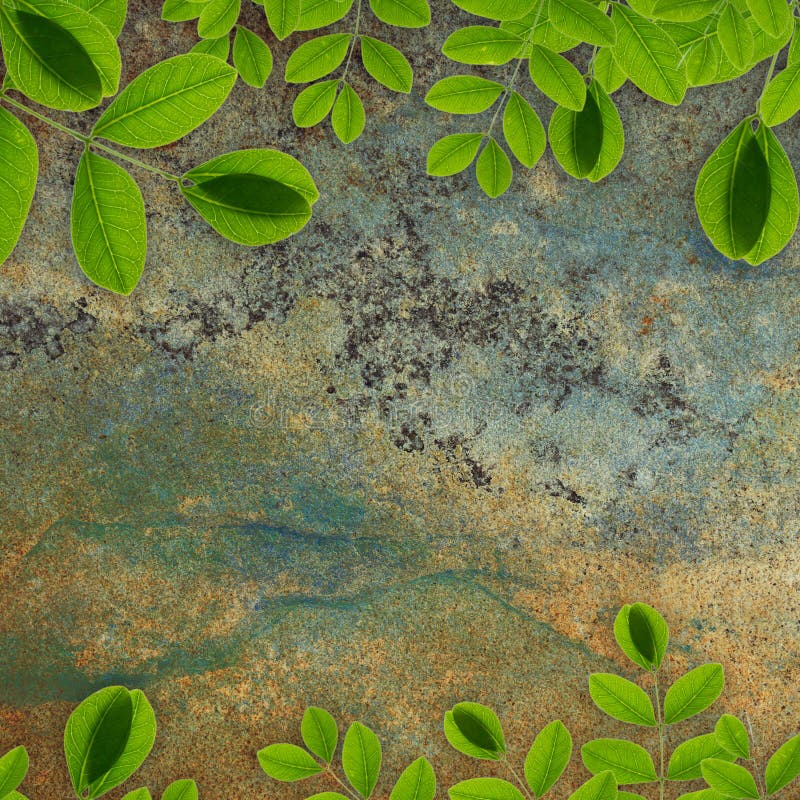 Creeper on stone stock photo. Image of decor, plant, retro - 36769572