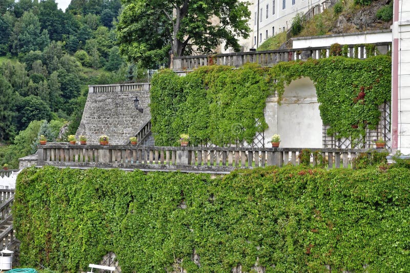 Creepers on the Stone Wall in Two Floors Stock Photo - Image of ...