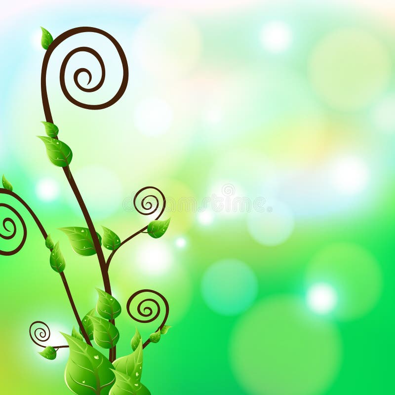 Creeping plant stock vector. Illustration of ingredient - 43878251