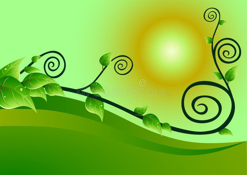 Creeping plant stock vector. Illustration of mediterranean - 40948717