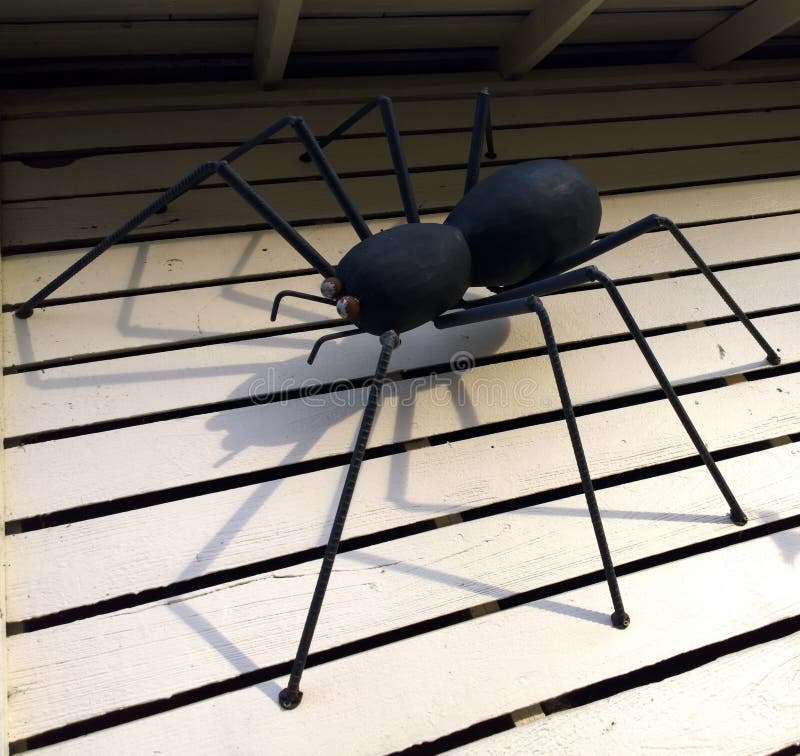 Creepy Crawler editorial image. Image of shadows, slats - 59312630